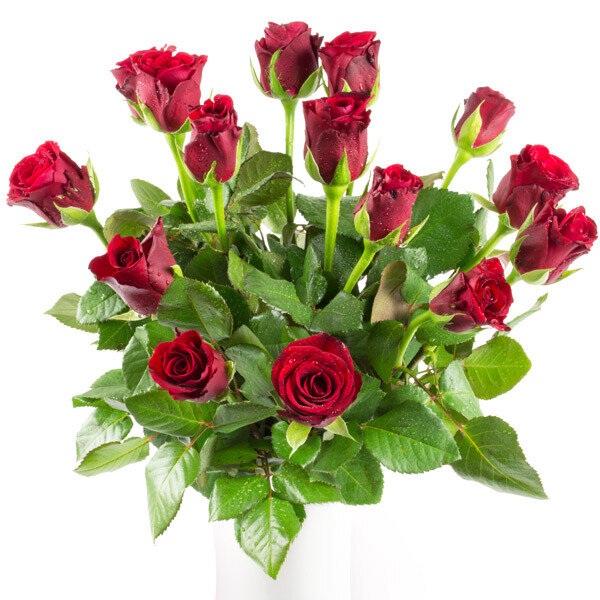 Rosenstrauß - ARCHIVE